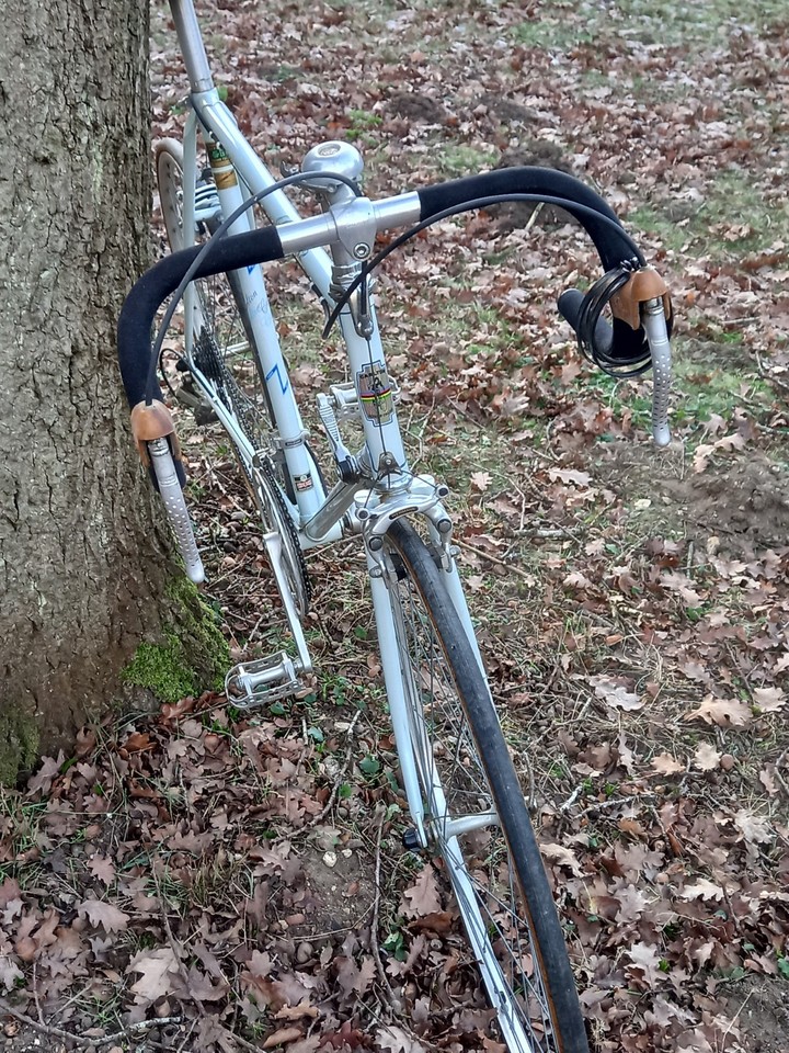 Vintage Carlton Pro-Am Racing Bike 1980s retro 531 Reynolds in working ...