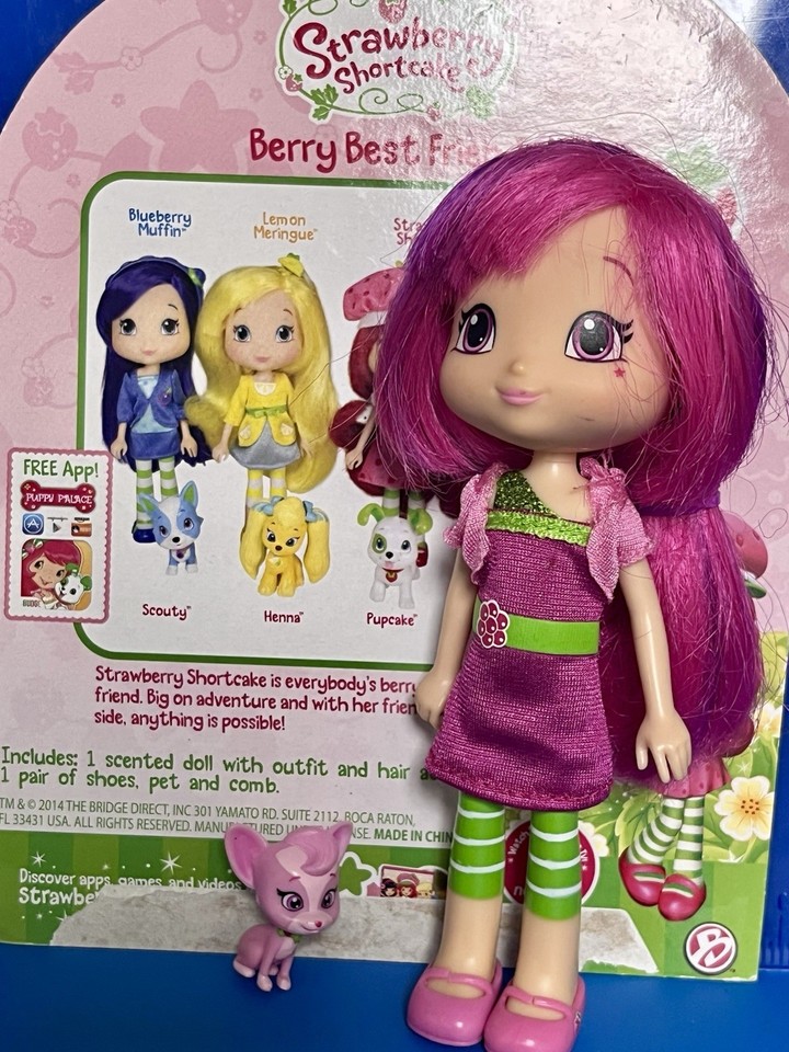 Strawberry Shortcake Raspberry Torte Berry Best Friend Doll CHIFFON ...
