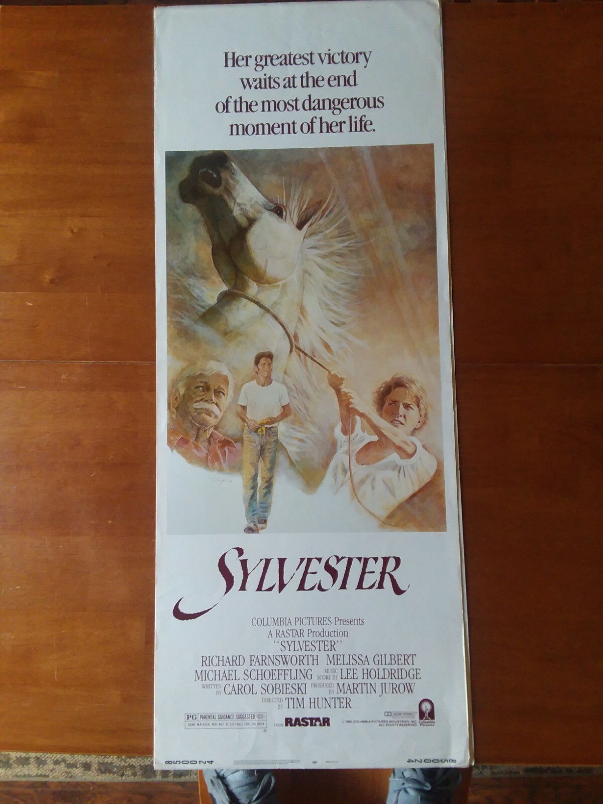 SYLVESTER (1985) MELISSA GILBERt INSERT POSTER Tom Jung Art | eBay