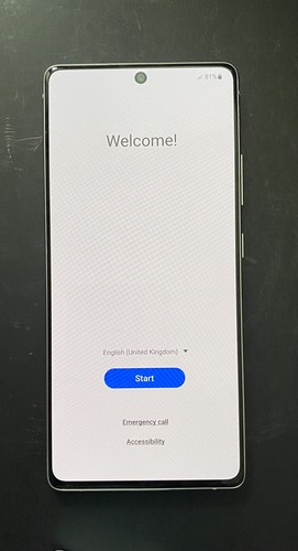 SAMSUNG GALAXY S10 Lite 128GB SM-G770F Unlocked Phone International ...