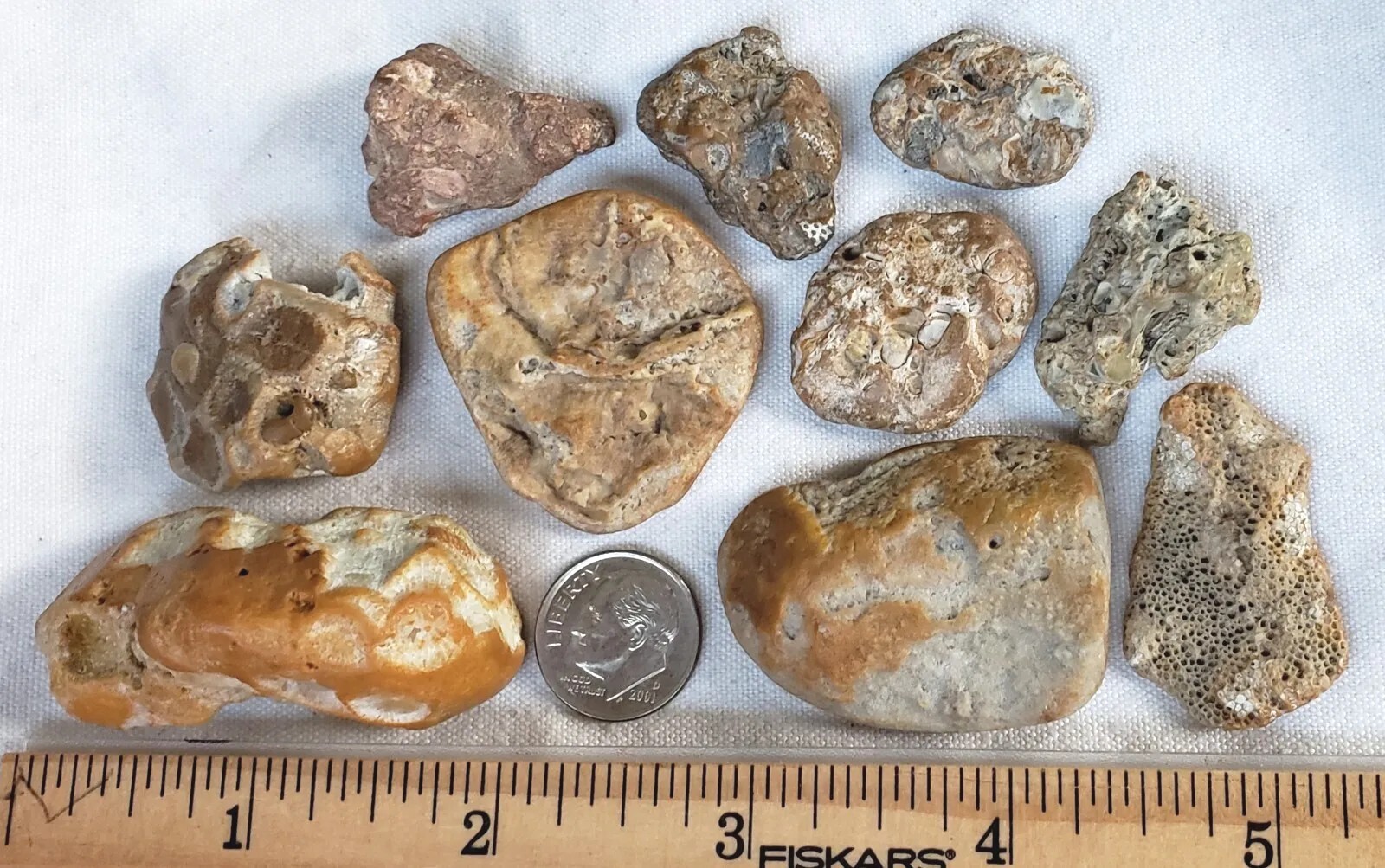 Chert Limestone Fossils With Mineral Crystals 10 At 3.0oz. U.S Great ...