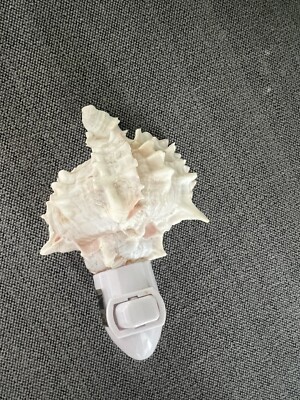 Sea Shell Night Light Murex Shell Nautical Night Light Home Decor | eBay