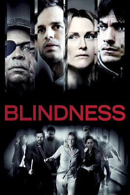 Blindness (DVD, 2009, Widescreen) *DISC ONLY* NO CASE NO TRACKING | eBay