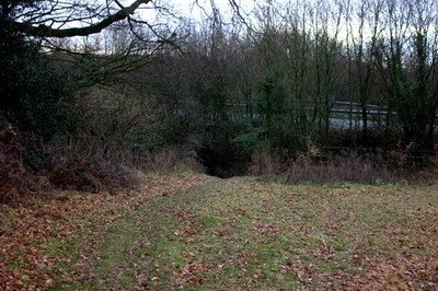 Photo 12x8 Footpath towards Steep. The A3 in the background Petersfield ...
