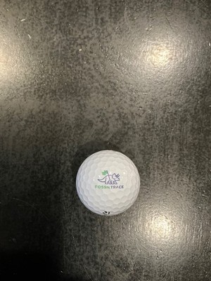 Fossil Trace Golf Course Logo Ball | eBay