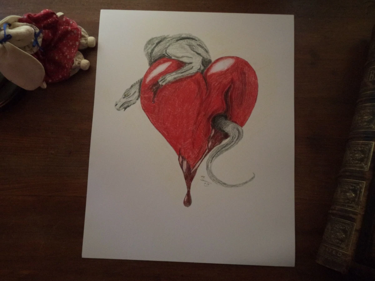 Real Bleeding Heart Drawing