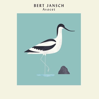 Bert Jansch Avocet LP Vinyl NEW | eBay
