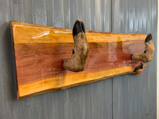 Deer Hoof Gun Rack / Finished Live Edge Red Cedar / deer feet / EPOXY ...