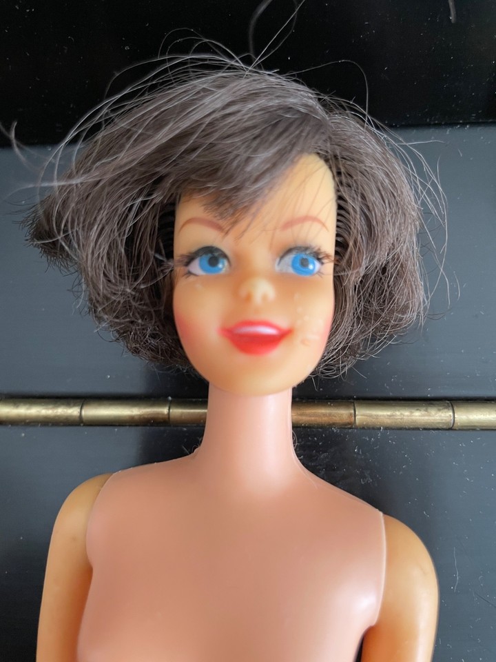 Vintage Casey (Barbie) TnT, orig hair style;head,torso and arms exc ...