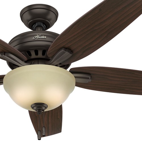 Hunter Fan 52 in Premier Bronze Indoor Ceiling Fan with Light Kit and ...