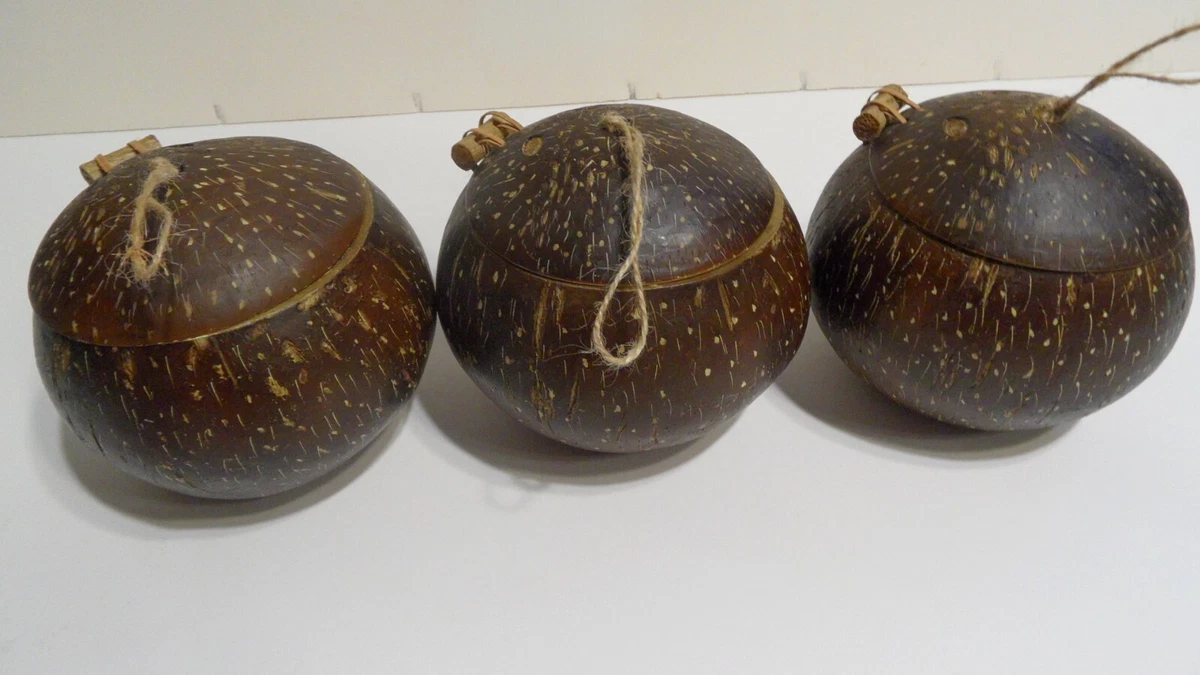 Coconut Shells Jewellery Box