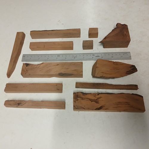 12 Cut-Off Pieces of Irish Bog Yew wood - Sizes relative to Scale Rule ...