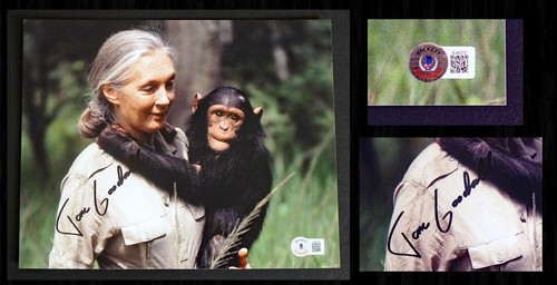 BECKETT Certified - JANE GOODALL SIGNED 8x10 Photo, Not Inscribed ...