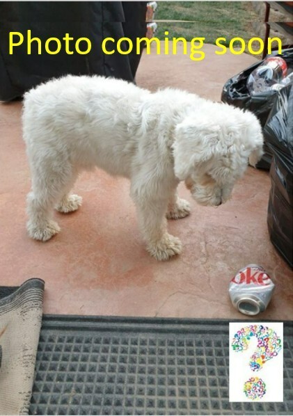 WAKE ISLAND license plate PACIFIC number plate travel memento -- NOT ...