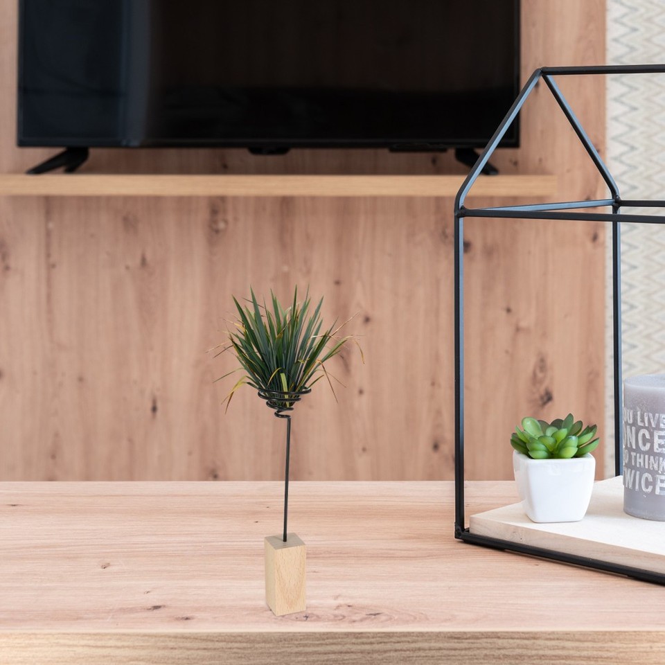 3pcs Iron Air Plant Stand Container Tillandsia Holder Tabletop Plant ...