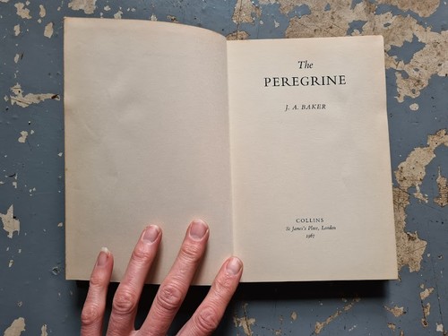 THE PEREGRINE, J.A.Baker. Collins 1st edition hardback, missing dust ...