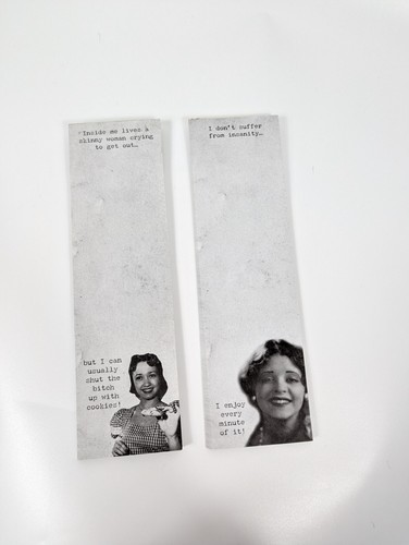 Set of 2 Novelty Woman Magnetic Paper Note List Pads "Insanity" "Skinny ...