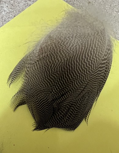 Gadwall Flank Feathers - 50 Ct. | eBay