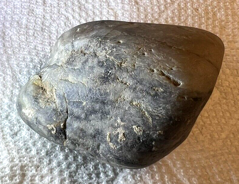 Utah Dinosaur gastrolith (stomach stone or gizzard stone) 8.70 ounces ...