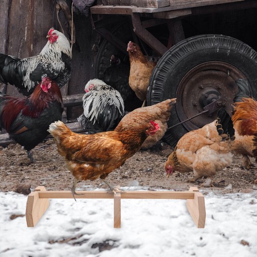 Hen Stand Farmhouse Chick Perch Chicken Roost Bars Perches for Hens | eBay