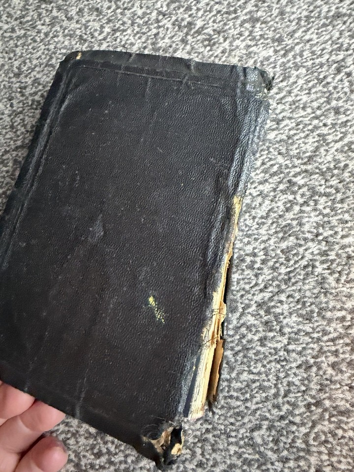 Holy Bible | eBay UK