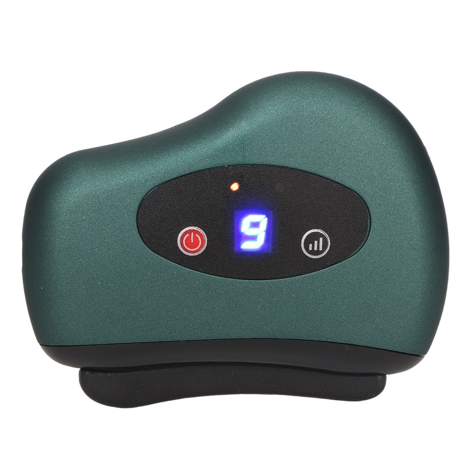 Stone Needle Electric Gua Sha Facial Tool 9 Gear Vibration Heating Face ...