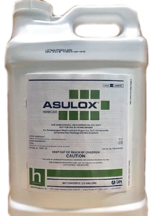 Asulox Weed Control - 2.5 Gallons (Agricultural & Commercial Use) | eBay