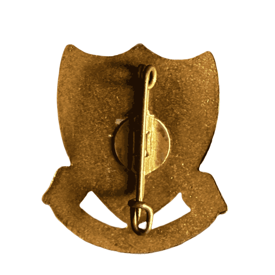 82 Recon Battalion 82B1(A/c) NHM DUI Korean War Brass DI Crest Insignia ...