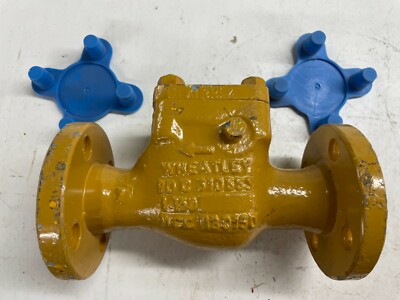 CAMERON WHEATLEY 510 Series Swing Check Valve 1" 150 RF Flanged Full ...