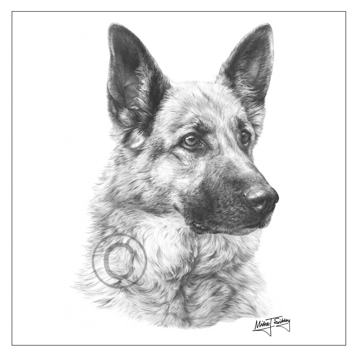 Mike Sibley Pencil Drawings