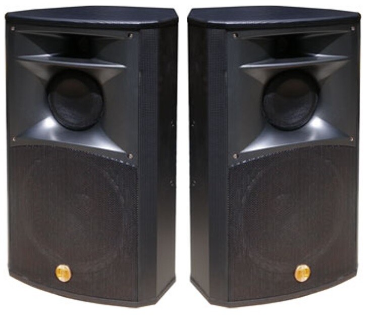 Martin Ranger Pure Sound 33 Karaoke Mixing Amplifier with Bluetooth ...