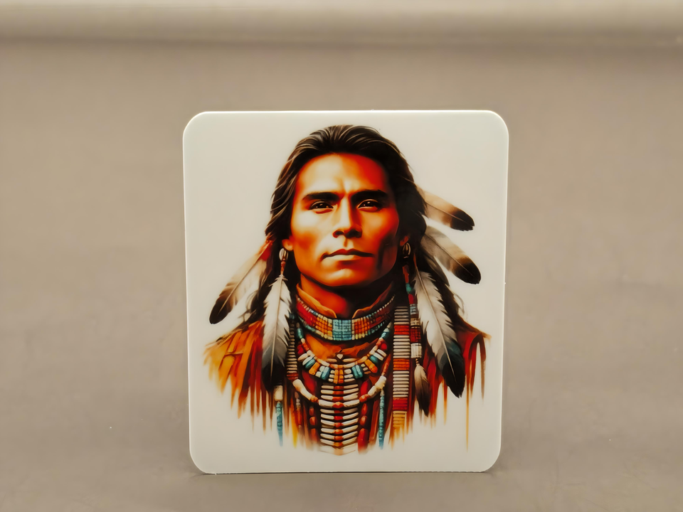 Native American Indian Stickers Indigenous Pride Rez MMIW Warriors ...