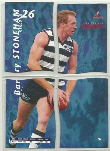 1995 AFL GEELONG BARRY STONEHAM PUZZLE Card SET AFL Bewick | eBay