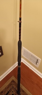 Shakespeare Tiger Lite Jigging Rod | eBay