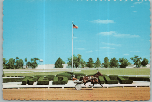 Vintage Postcard Red Mile Harness Track Lexington Kentucky | eBay
