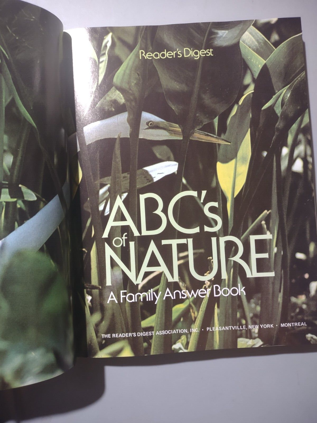 ABCs of Nature A Family Answer Book by Reader's Digest 1985 5824 | eBay