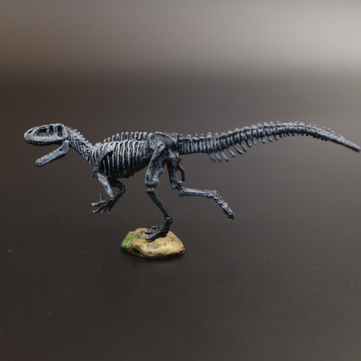 Fukuiraptor Skeleton I Know Dino Podcast: Fukuiraptor