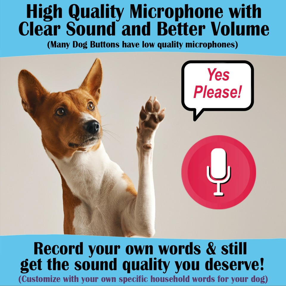 Talking Pet Starter Recordable Speaking Buttons Dog Training ...