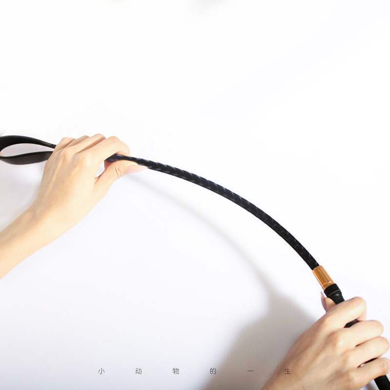 Straight Leather Flogger Whip Riding Crop Halloween Roleplay Slapper ...