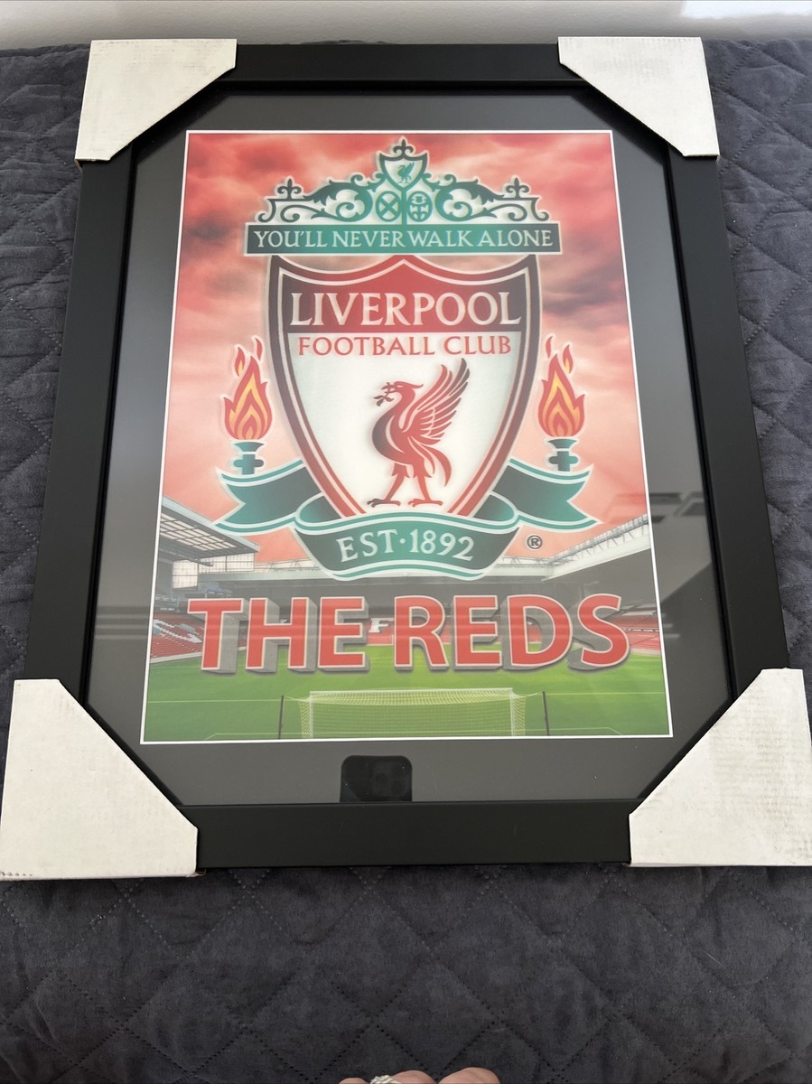 Liverpool Cool Logo Liverpool FC Official Car Flags You'll Never