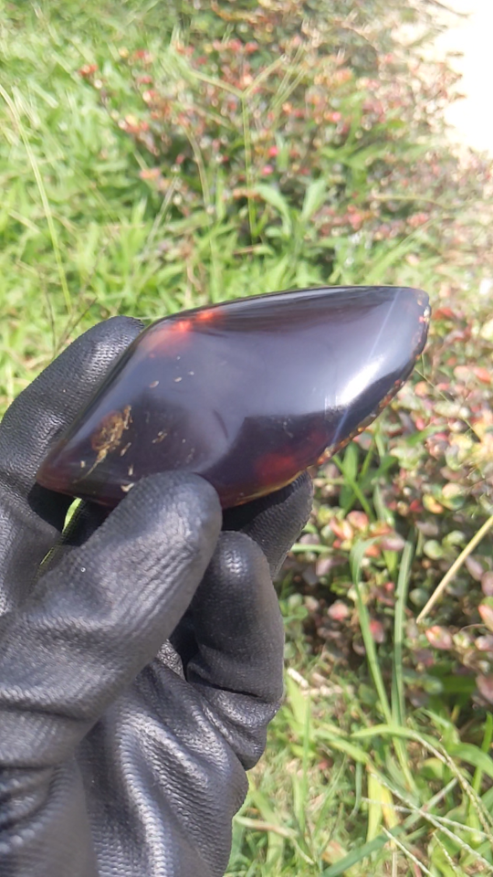 55 Grams Amber Sumatran Black Blue Amber Specimen Polished Stone Hight ...