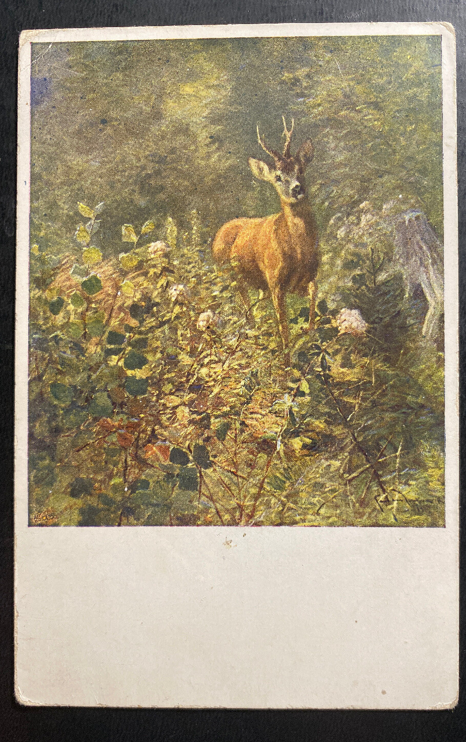 1914 Omsk Siberia Russia Picture Postcard Cover To Australia Via Japan ...