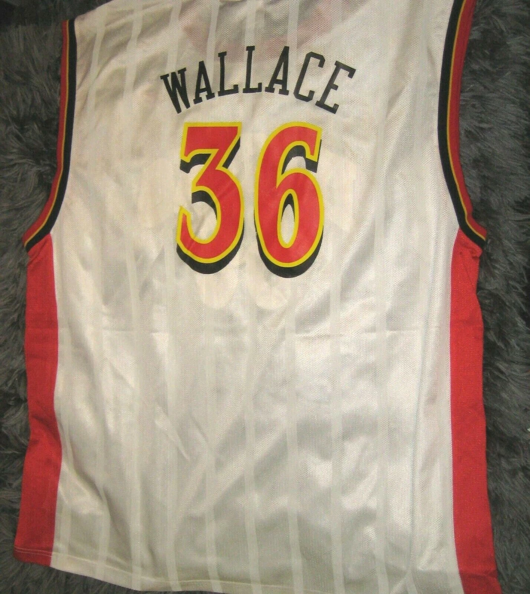 Rasheed Wallace Hawks