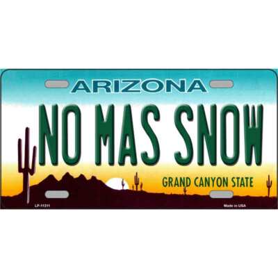 No Mas Snow Novelty License Plate Tag LP-11311 | eBay