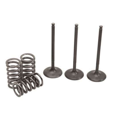 Pro X 28.SIS2424-2 Steel Intake Valve/Spring Kit | eBay