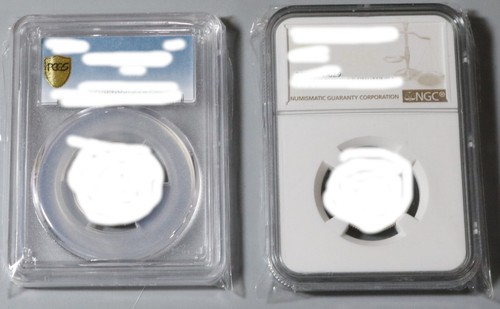 100 Coin Protector Sleeve Bags PCGS NGC Slabs Resealable Guardhouse ...