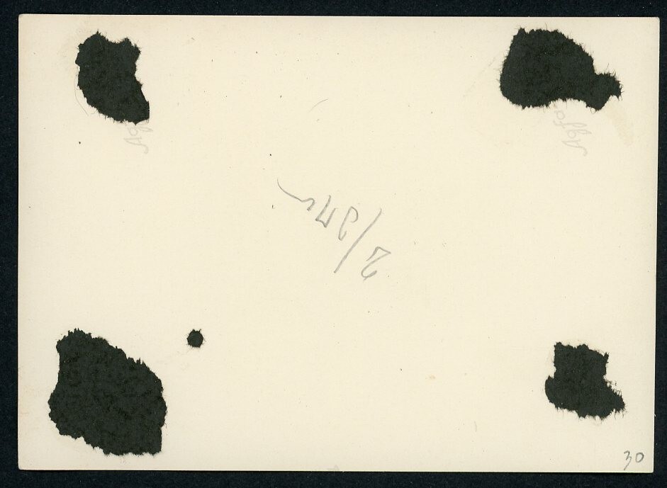 German Mountain Border Town Checkpoint w/ Gate & Partei Banner WW2 ...