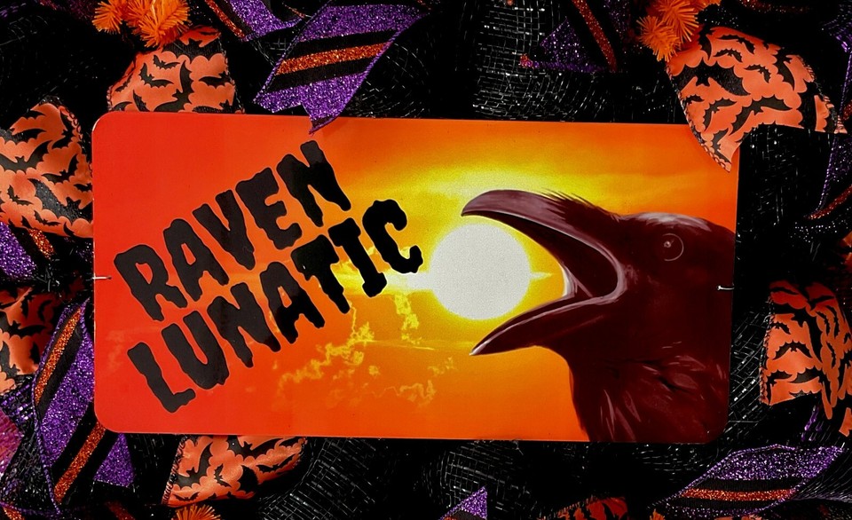 Raven Lunatic Handmade Deco Mesh Halloween Wreath | eBay