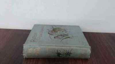Birds Of Our Islands, F. A. Fulcher, Andrew Melrose Ltd, Hardcove | eBay