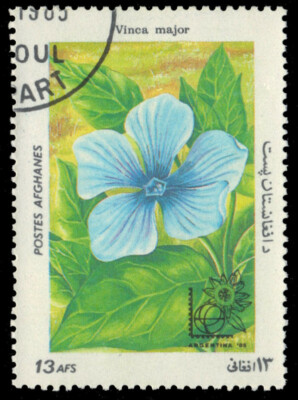 AFGHANISTAN 1149 - Greater Periwinkle "Vinca major" (pf61866) | eBay